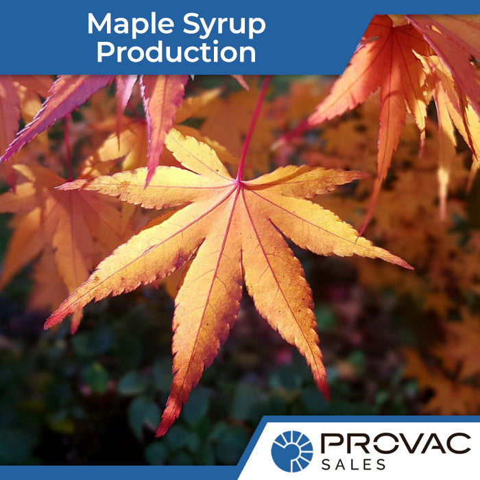 Vacuum Pumps for Maple Sugar - How Maple Sugaring Works