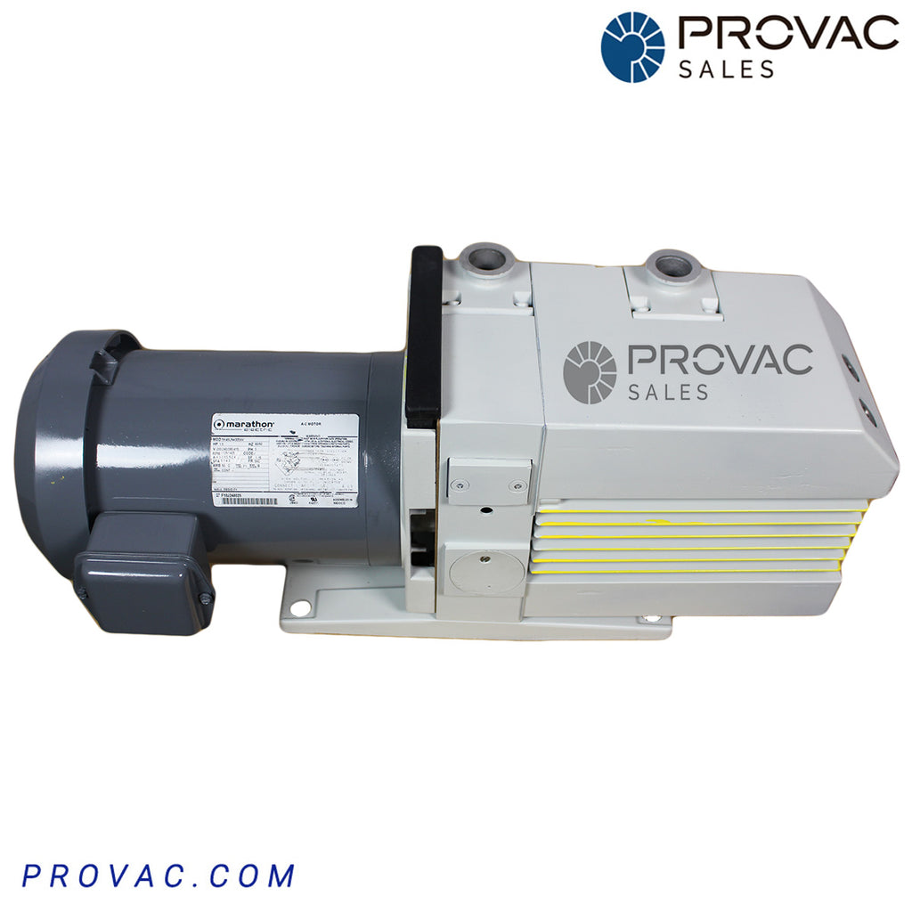 Leybold D-25B Rotary Vane Pump, Rebuilt, Hydro